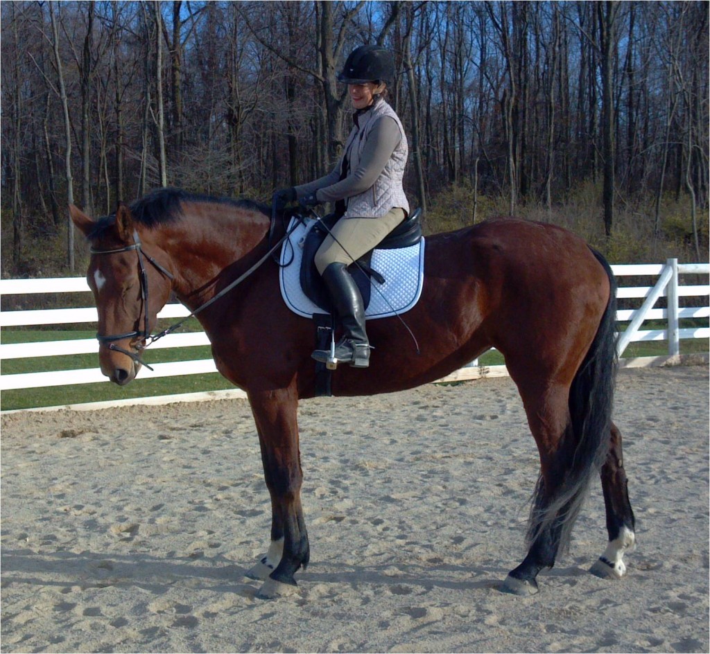 FastPass+ and MagicBands: A Report on My Field Trip and Other Stuff ...