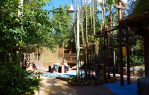 The Samawati Springs Pool at Kidani Village - yourfirstvisit.net