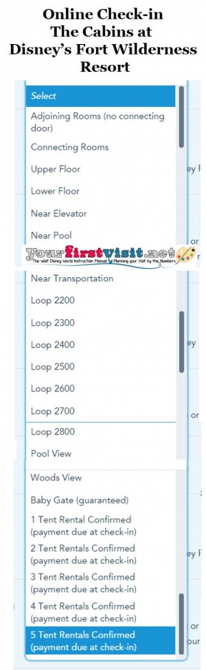 New Disney World Online Check-in Forms Allow You to Request “Connecting ...