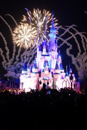 Review: The 2018 Edition of Mickey's Very Merry Christmas Party ("MVMCP ...