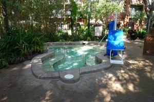The Uzima Springs Pool at Disney's Animal Kingdom Lodge ...
