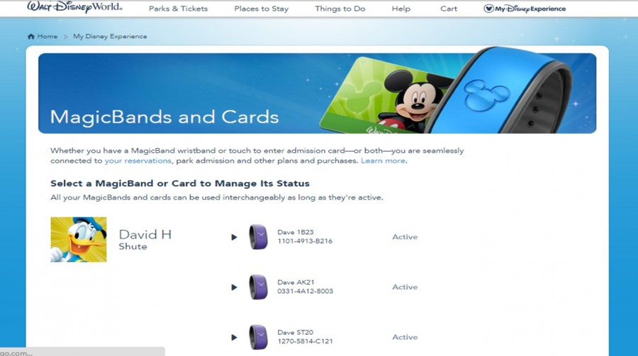 The Basics: My Disney Experience and MagicBands - yourfirstvisit.net