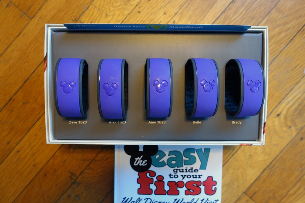 The Basics: My Disney Experience and MagicBands - yourfirstvisit.net