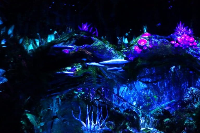 Review: Na'vi River Journey in Pandora at Disney's Animal Kingdom ...