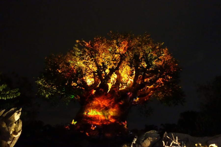 Review: Tree of Life Awakenings at Disney's Animal Kingdom ...