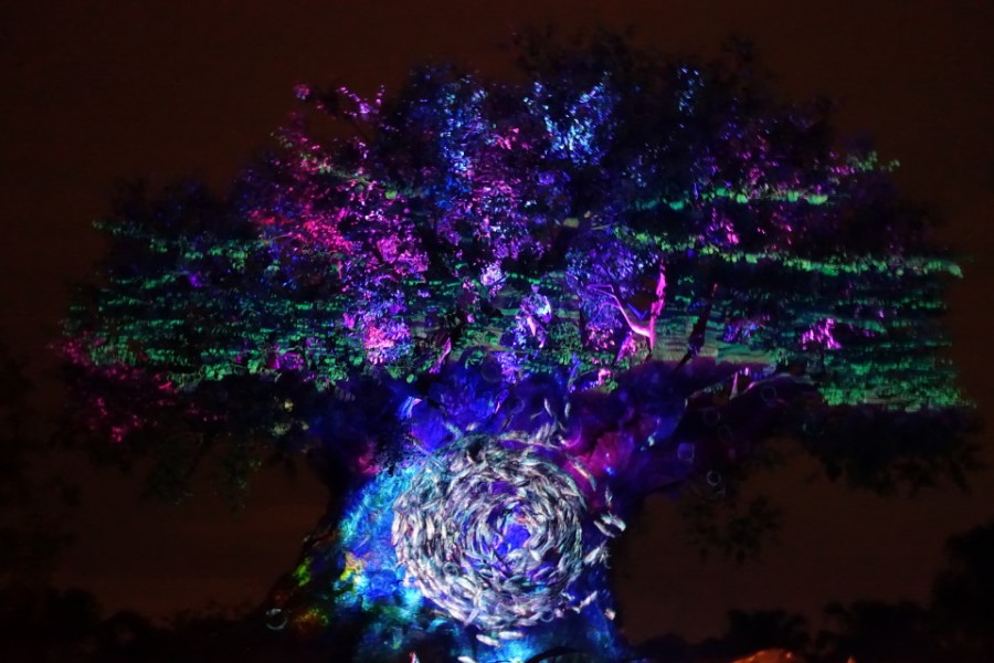 Review: Tree of Life Awakenings at Disney's Animal Kingdom ...
