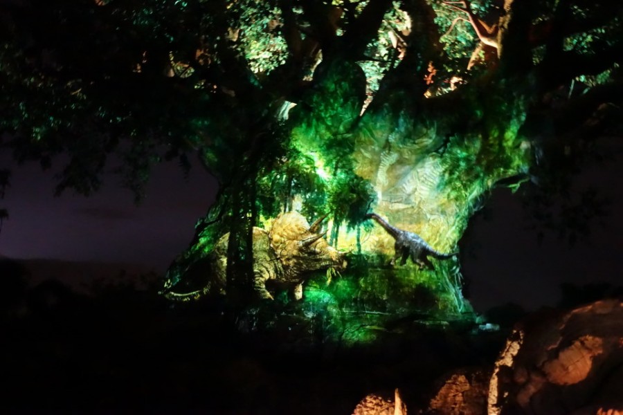Review: Tree of Life Awakenings at Disney's Animal Kingdom ...