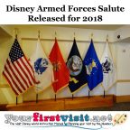 Military Families at Disney World - yourfirstvisit.net