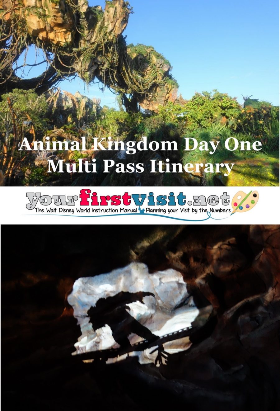 Animal Kingdom Day 1 Disney World Multi Pass Itinerary with Tiana ...